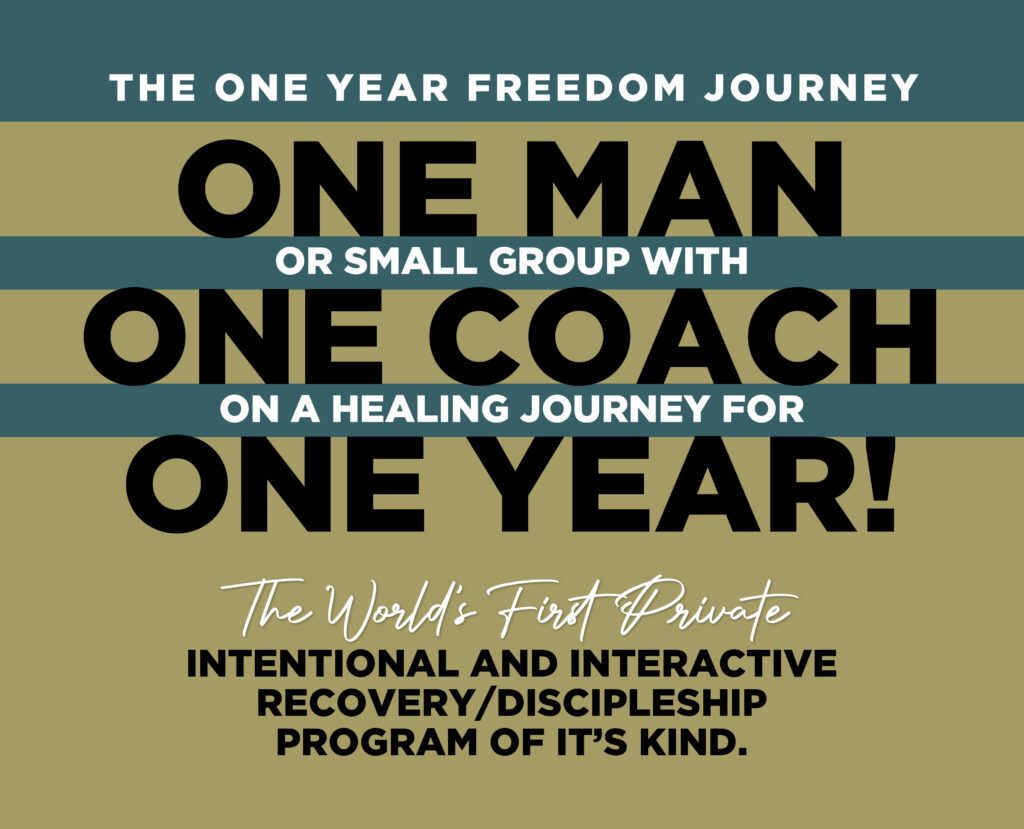 The One Year Journey - Freedom For Men